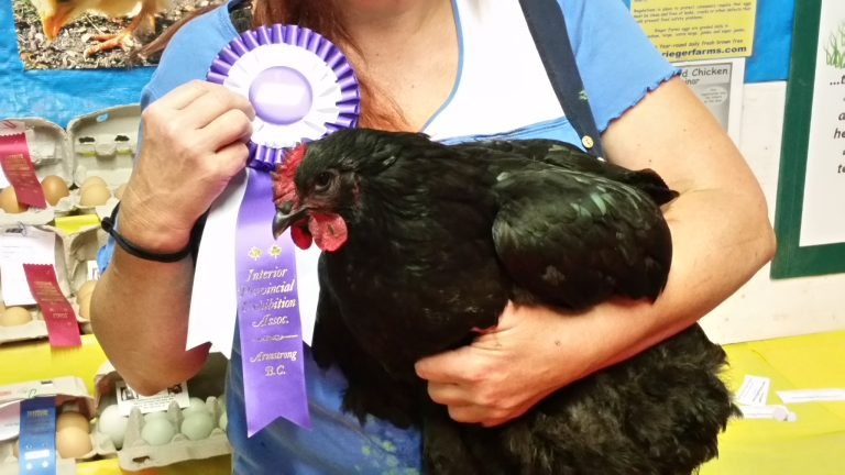 Wild Acres - Is the place to be!