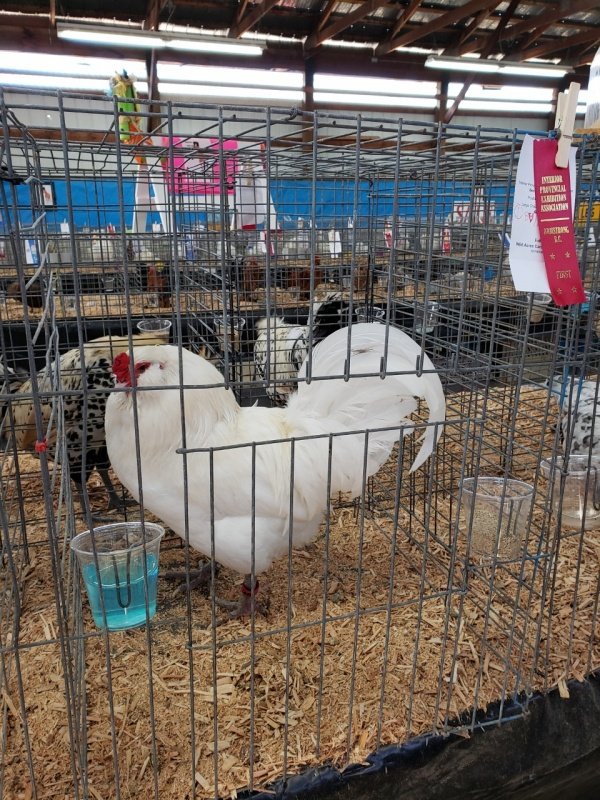 Wild Acres - Is the place to be!