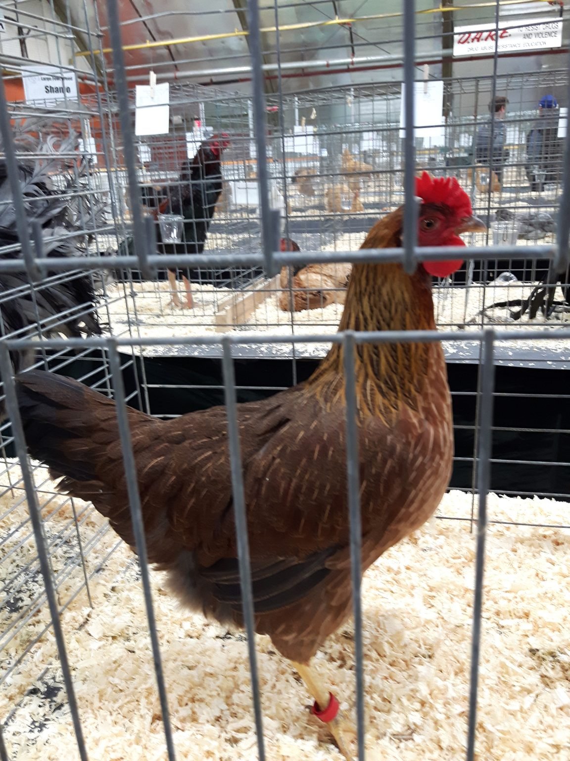 Wild Acres - Is the place to be!