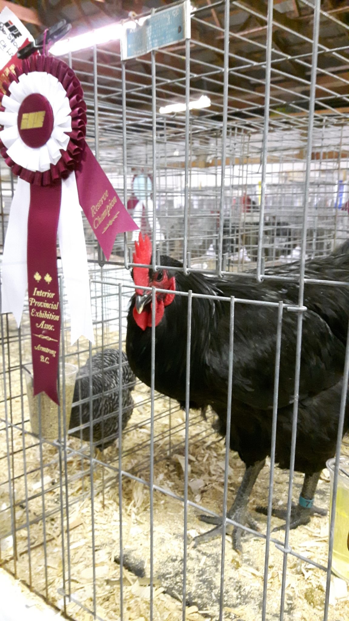 Wild Acres - Is the place to be!