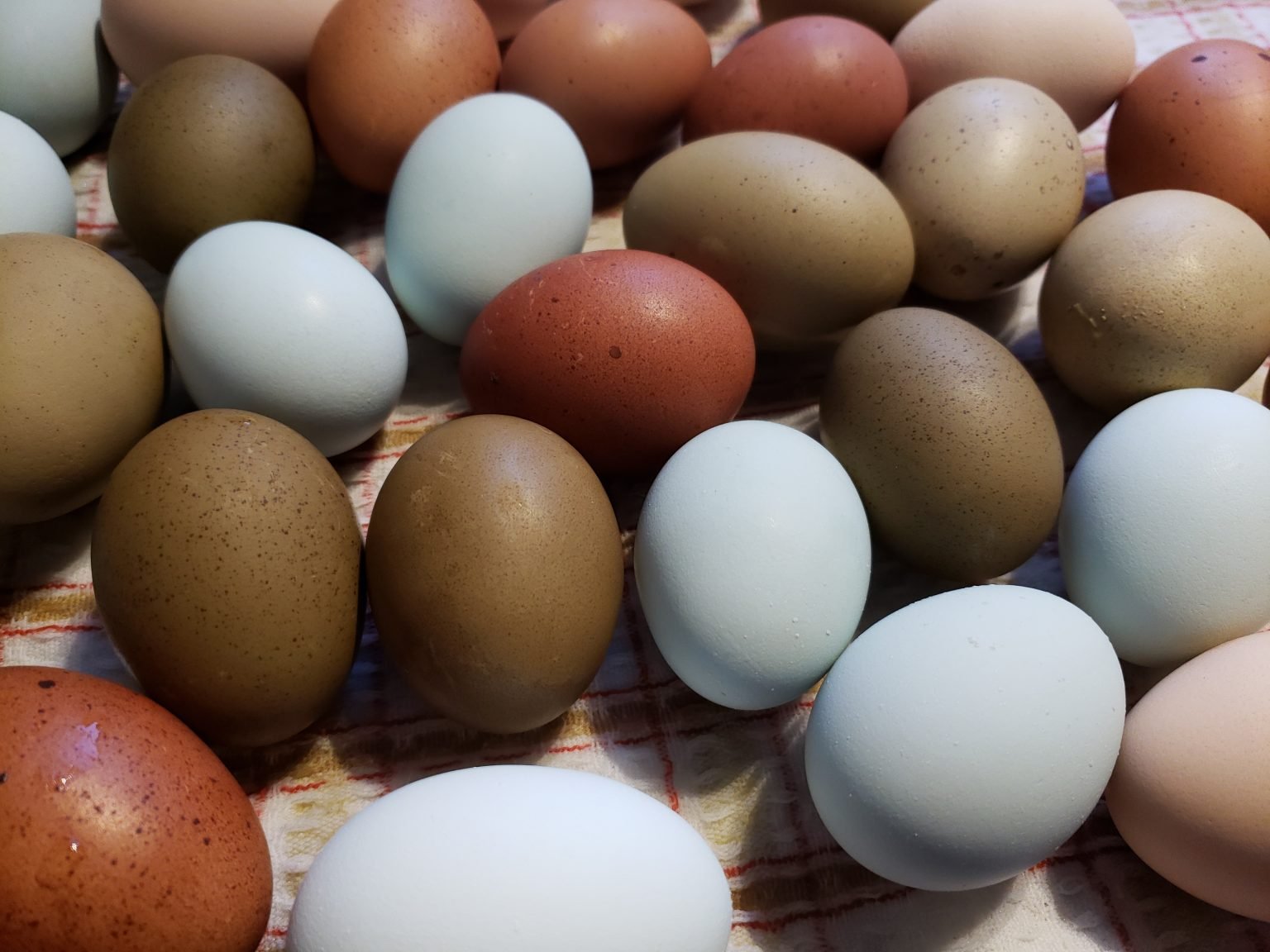 Wild Acres - Is the place to be!