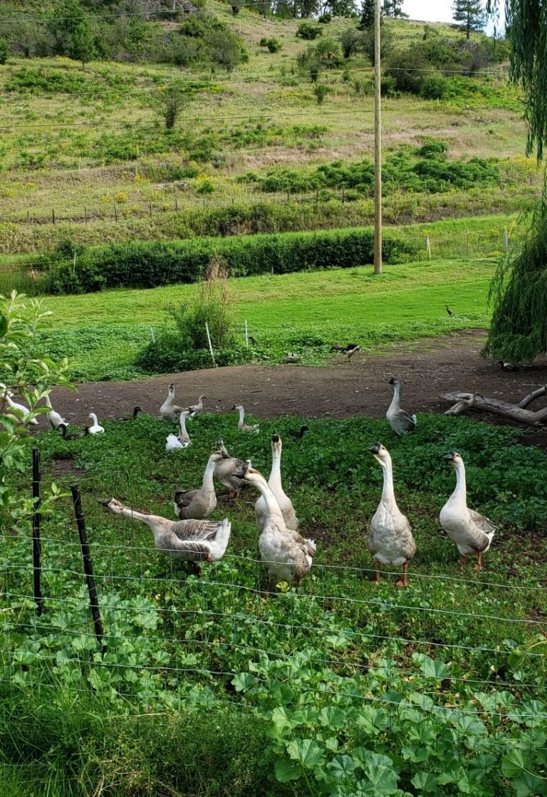 Wild Acres - Is the place to be!