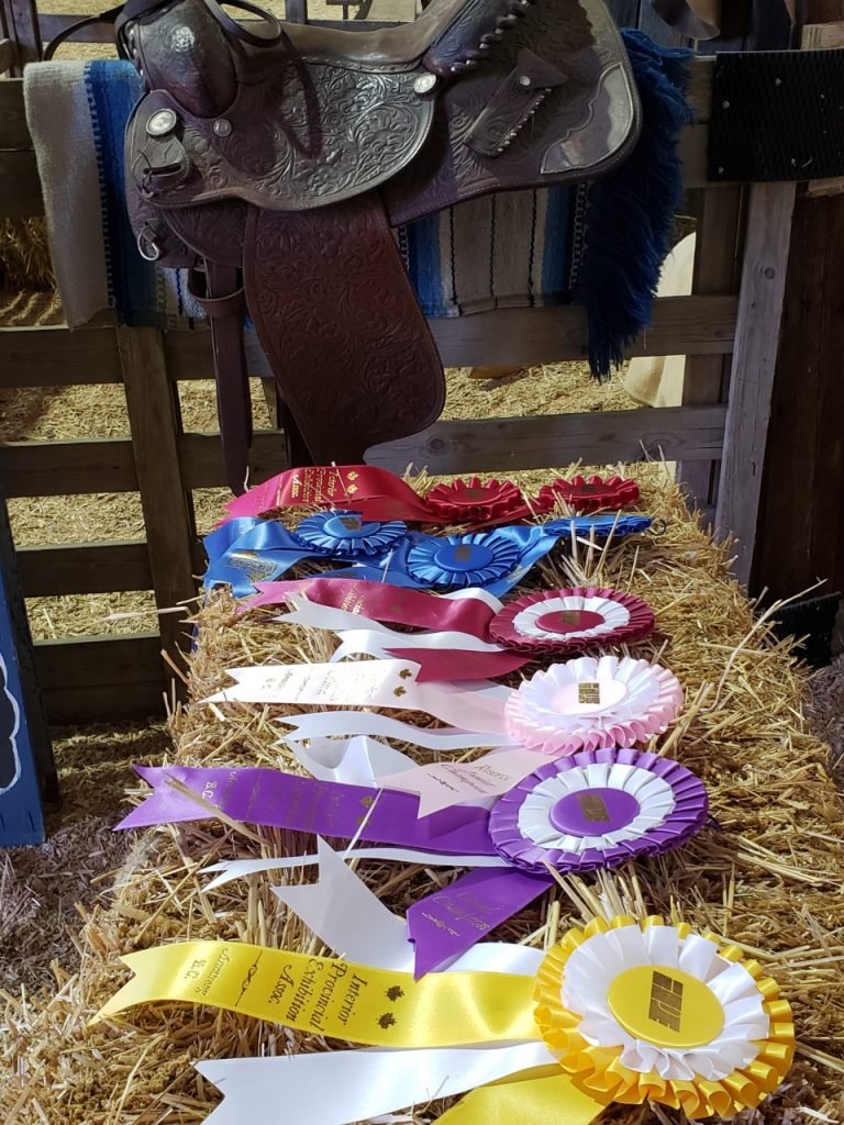 Wild Acres - Is the place to be!